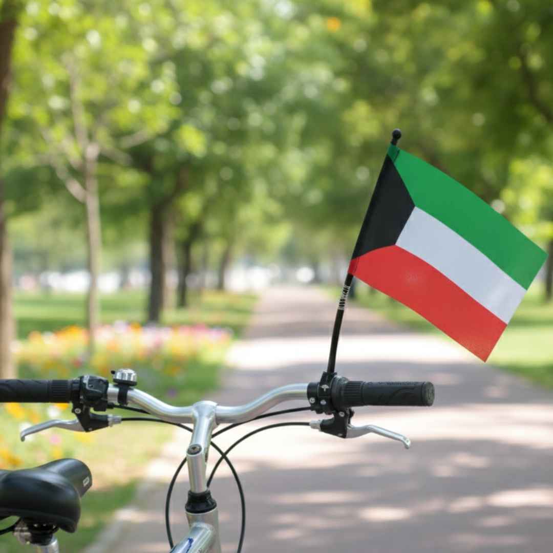 Cycle Handlebar Flags - Flags for Bike – Karyan Art | كاريان أرت